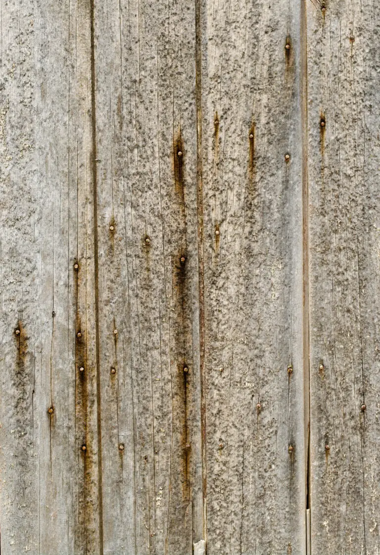 old rough wood backgrounds wooden texture