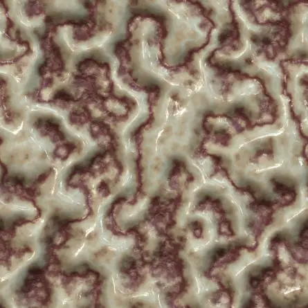 rendered large image of a meaty flesh wound