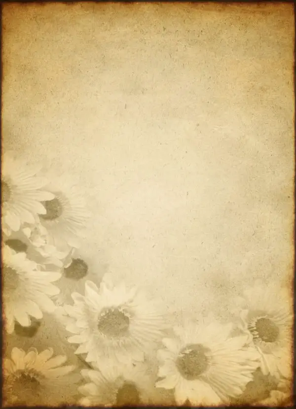 45 Free Parchment Paper Backgrounds and Old Paper Textures