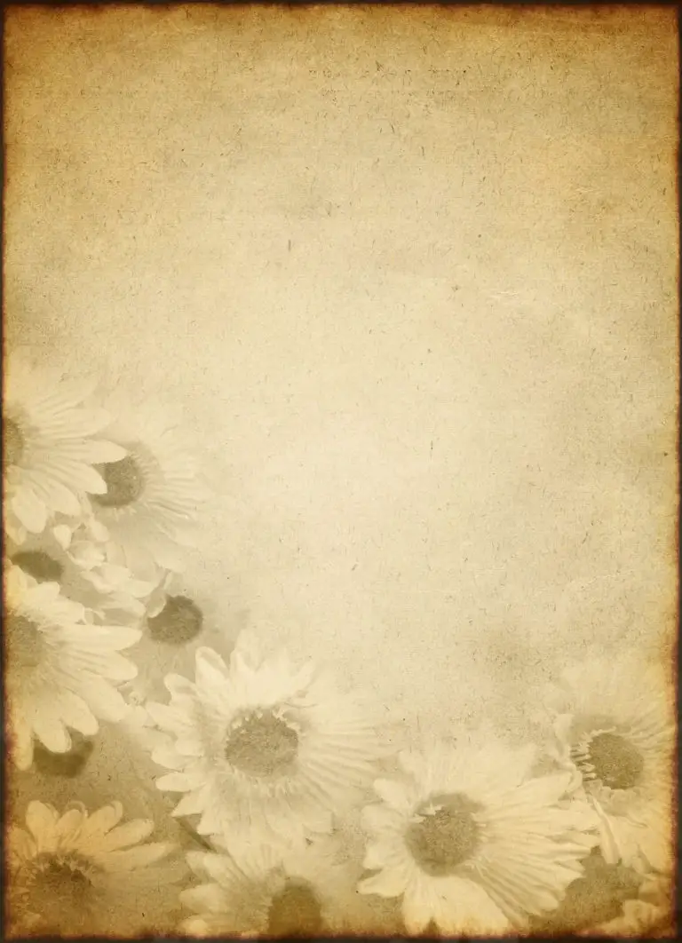 parchment | Free Textures, Photos & Background Images