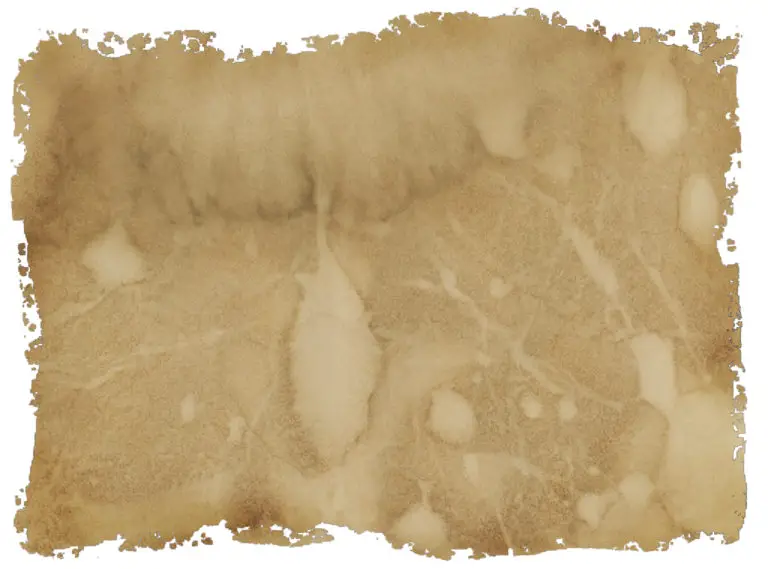 parchment | Free Textures, Photos & Background Images