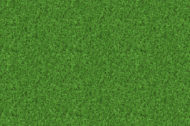Seven Free Grass Textures or Lawn Background Images