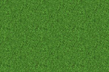 Seven Free Grass Textures Grass Ground Seamless 3D Texture PBR In High